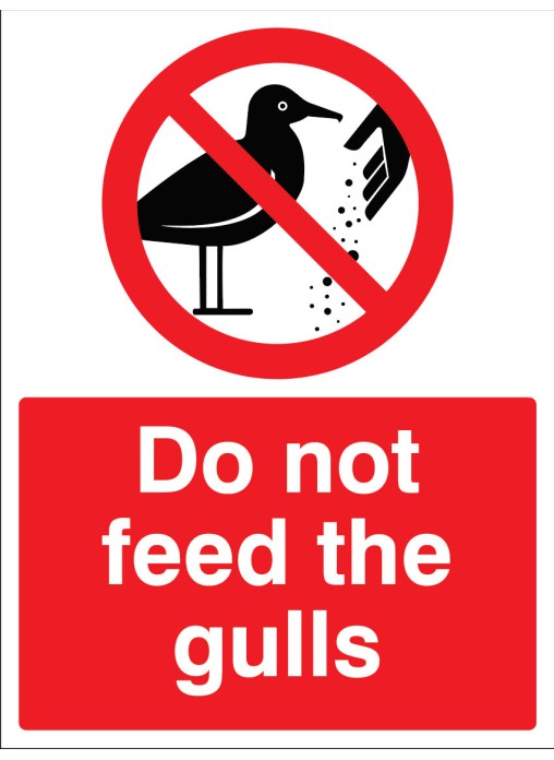 Do Not Feed the Gulls