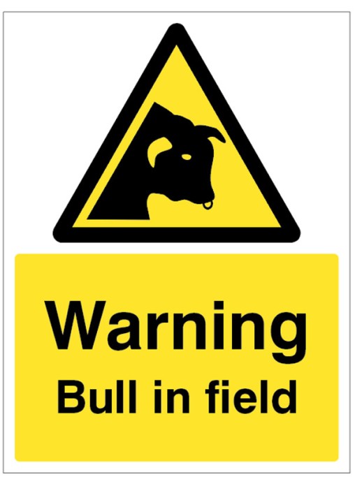 Warning - Bull in Field
