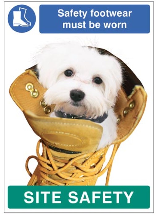 Safety Footwear Must Be Worn Dog Poster safety-footwear-must-be-worn-dog-poster