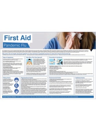 Pandemic Flu - Poster
