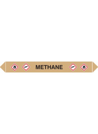 Flow Marker (Pack of 5) Methane